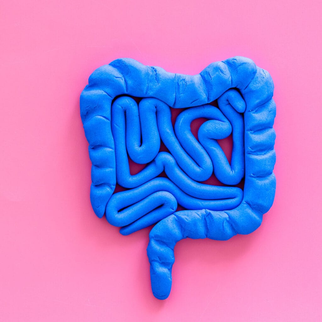 Dieta GAPS - Dr Lifestyle